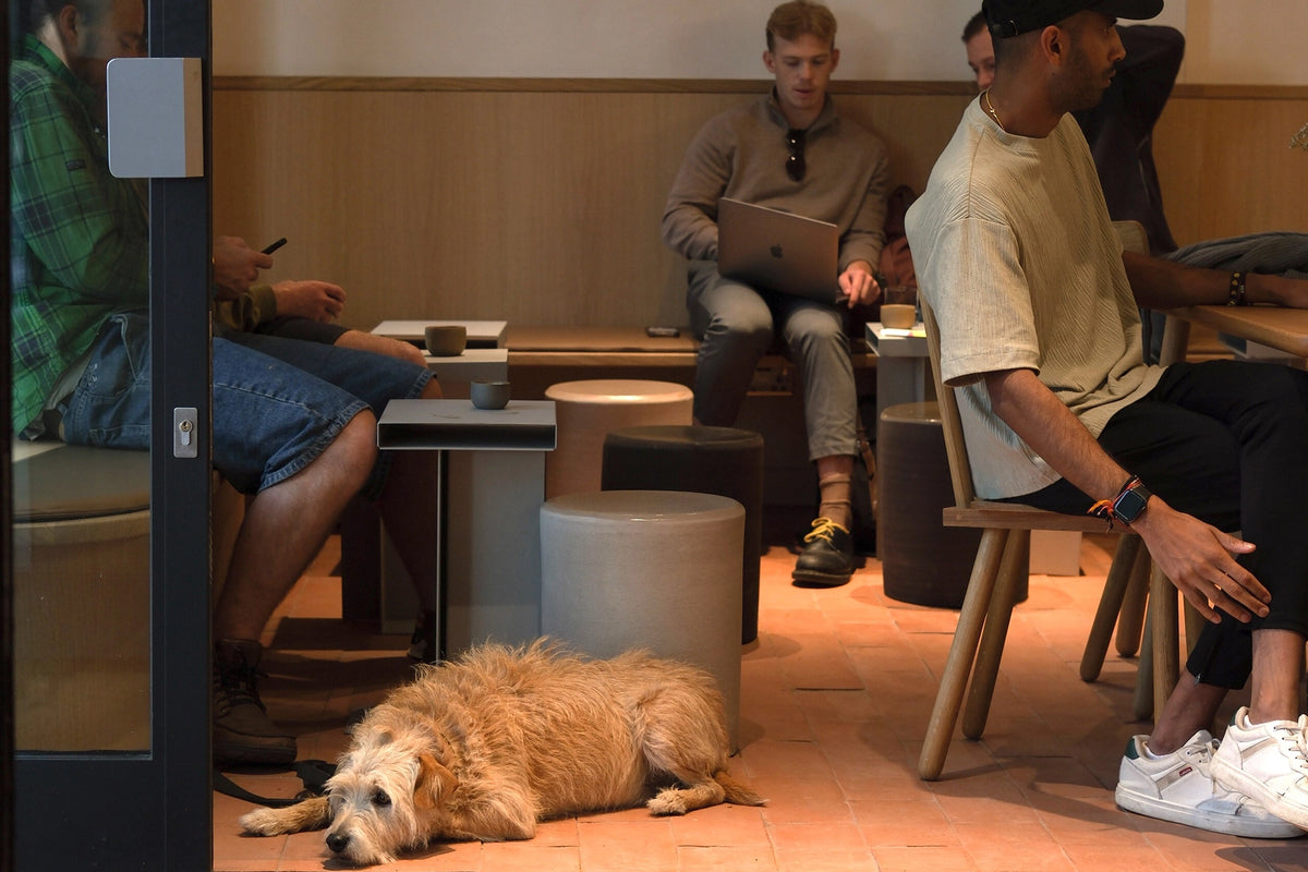 Five Things to Do in Bristol 2023 | Origin Coffee Roasters