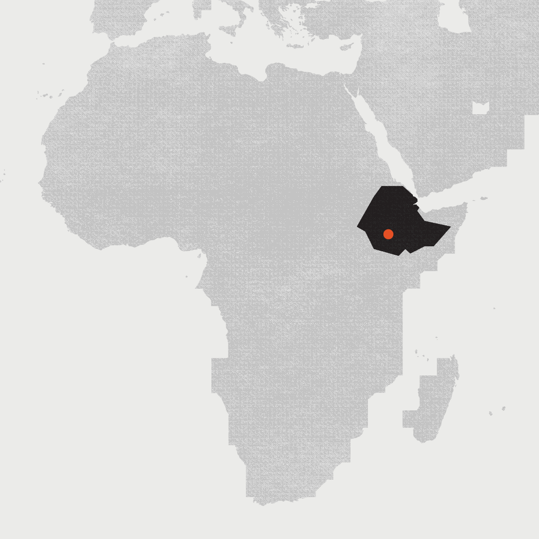Pathfinder Coffee | Speciality Coffee Online | Origin Coffee Roasters